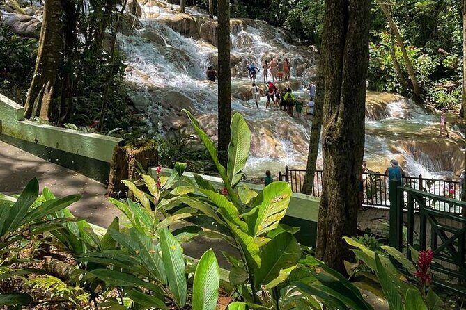 Blue Hole and dunns river falls tour from Montego bay - Who Should Consider This Tour?