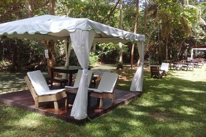 Blue Hole and Dunns River Falls Tour with Lunch and Cocktails at Reggae Hill - The Value and Cost