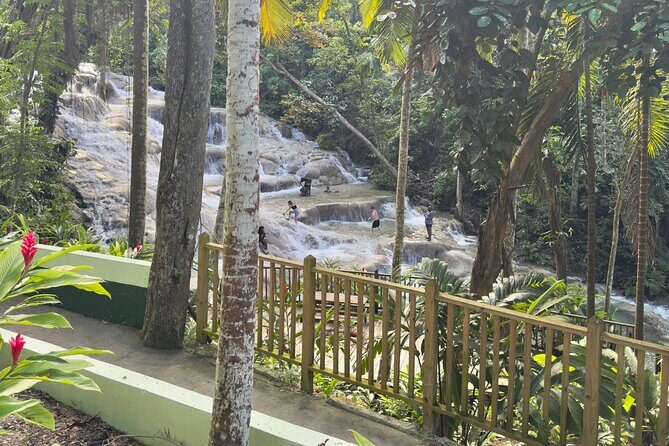 Blue Hole and Dunn's River Tour (Entrance Fees Not Included) - Pricing and Value