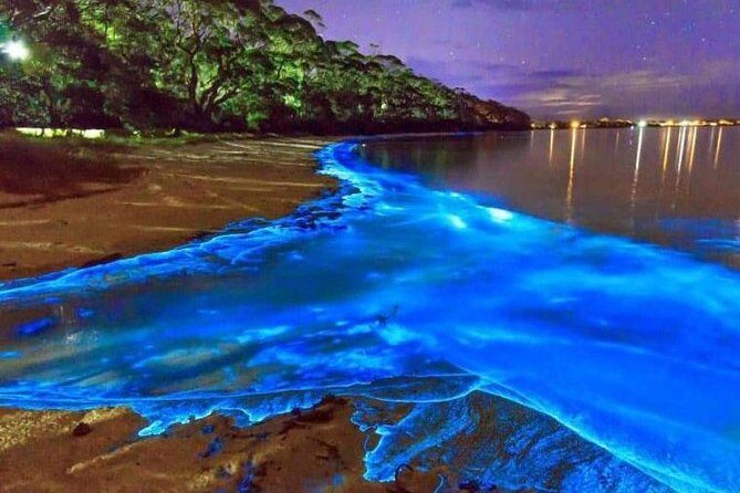 Blue Hole and Secret Falls with Luminous Lagoon(Glistening Waters) Private Tour - Who Should Consider This Tour?