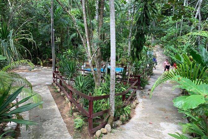 Blue Hole & Dunn's River Falls with Lunch from Negril - Frequently Asked Questions