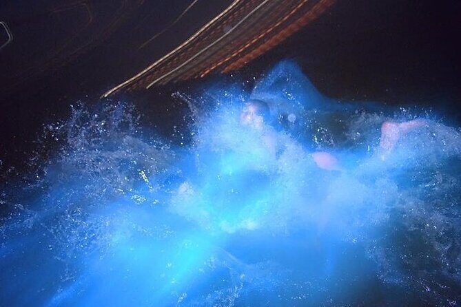 Blue Hole Island Gully and Glistening Water Lagoons night Tour - Detailed Review of the Tour