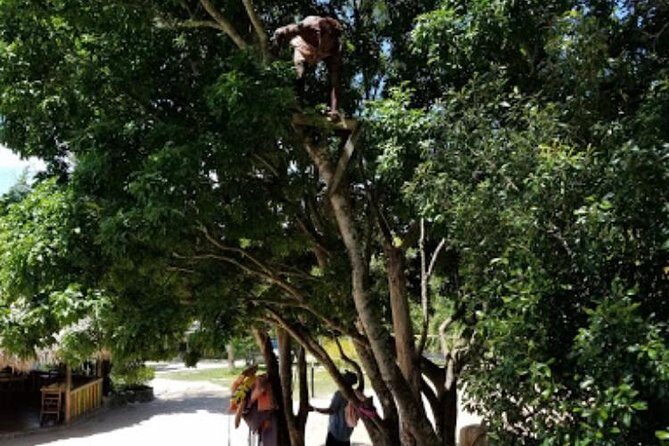 Blue Hole Mineral Spring and Ricks Cafe Private Tour - Final Thoughts