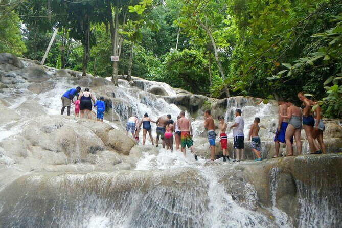 Blue Hole or Dunns River and Luminous Lagoon from Montego Bay - The Sum Up