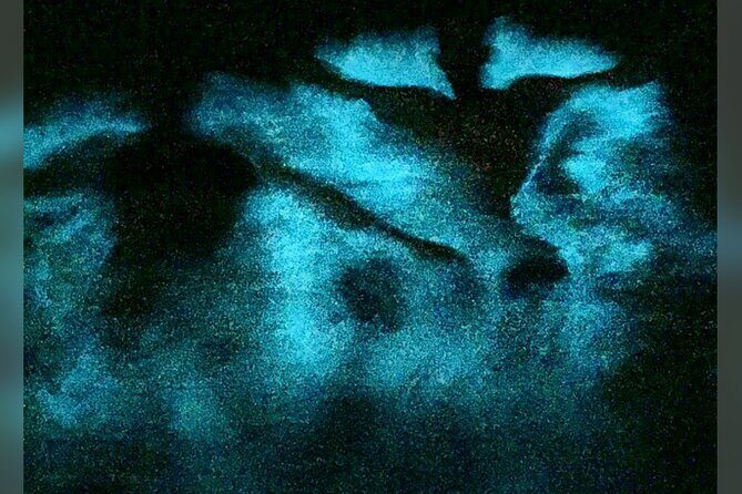 Blue Hole, Scotchies & Luminous Lagoon (Glistening Waters) 3 in 1 Combo - Deep Dive into Each Stop