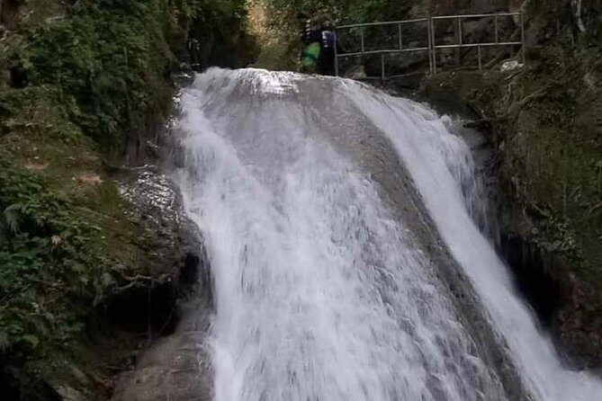 Blue Hole Secret Falls and Bob Marley Nine Mile Private Tour - What the Reviews Tell Us