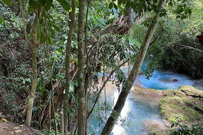 Blue Hole & Secret Falls PRIVATE Tour * {With Entry Fee } - An In-Depth Look at the Blue Hole & Secret Falls PRIVATE Tour