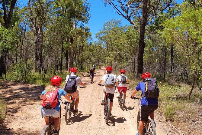 Blue Labyrinth PRIVATE Tour: Sydney Blue Mountains by E-Bike - Introduction: A Ride to Remember in the Blue Mountains
