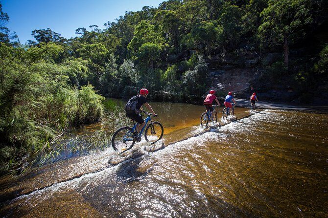 Blue Labyrinth PRIVATE Tour: Sydney Blue Mountains by E-Bike - The Sum Up