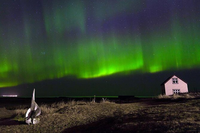 Blue Lagoon and Northern Lights Tour Including Admission - Final Thoughts