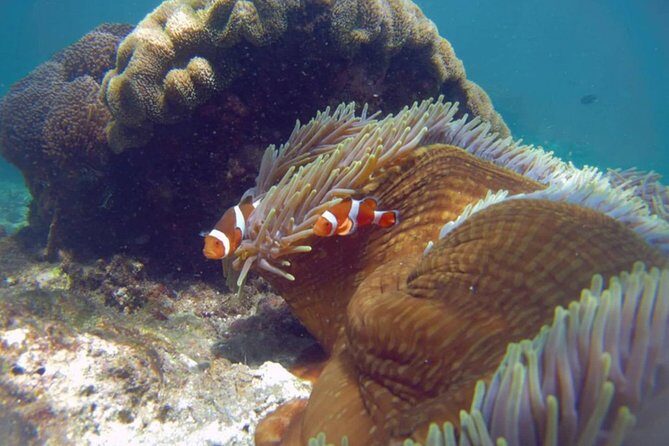 Blue Lagoon Bali Snorkeling with Optional Sightseeing Tour - Frequently Asked Questions