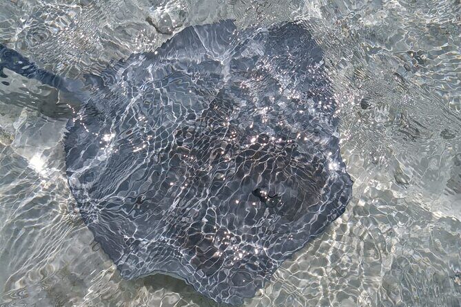 BLUE LAGOON | Eco-tour | Snorkeling Avatoru | Secret Green Lagoon - The Secret Green Lagoon: A Final Treasure