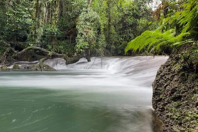 Blue Lagoon & Eden on the River - Half Day Trip with Yumi Tours - Transportation, Group Size, and Overall Experience