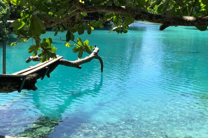 Blue Lagoon Express Bus - Who Should Consider This Tour