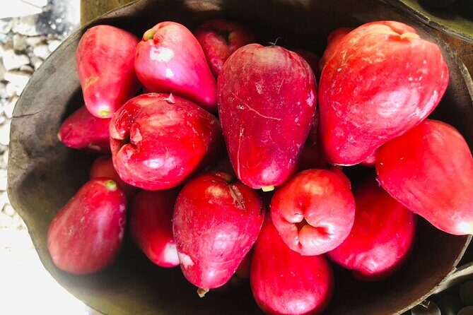 Blue Lagoon & Laguna el dudu from puerto plata - Key Points