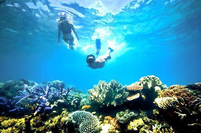 Blue lagoon Private Snorkeling Adventure Bali - Practical Tips for a Smooth Trip