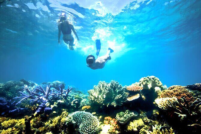 Blue lagoon Private Snorkeling Adventure Bali - The Sum Up: Who’s This Tour For?