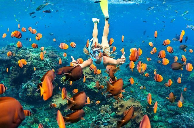 Blue lagoon Private Snorkeling Adventure Bali - FAQs