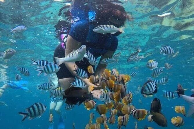 Blue Lagoon Snorkeling and Lunch - Kanto Lampo - Suwat Waterfall - All inclusive - Authentic Bali Experience with a Personal Touch