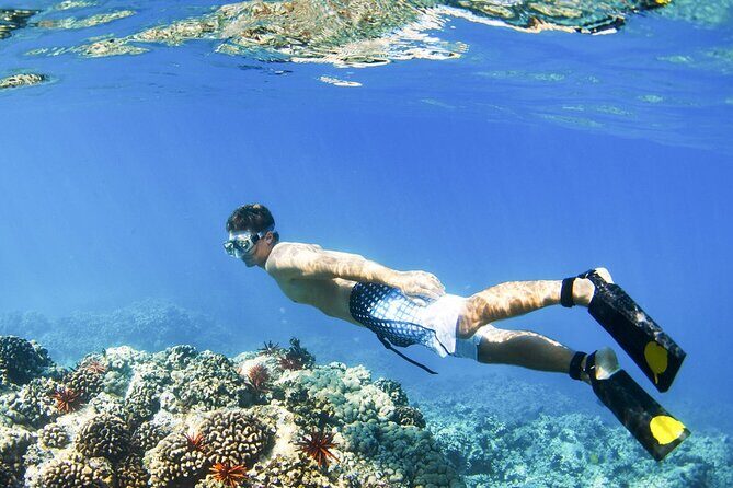 Blue Lagoon Snorkeling and Lunch with Private Transfer - Authenticity and Authentic Experiences