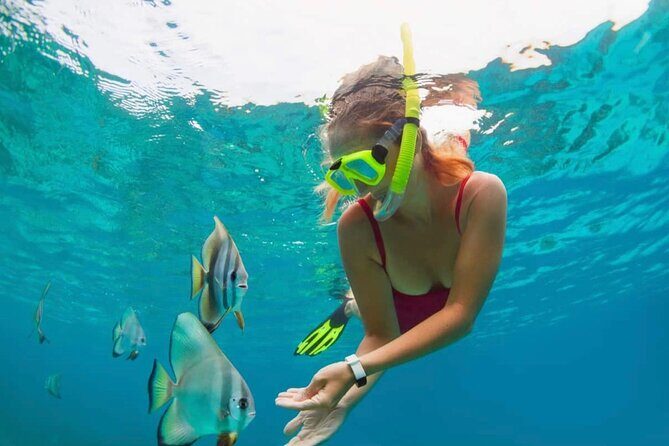 Blue Lagoon Snorkeling and Lunch with Private Transfer - Final Thoughts