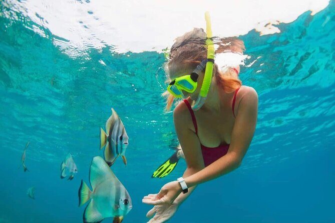 Blue Lagoon Snorkeling and Lunch with Tukad Cepung Waterfall - Key Points