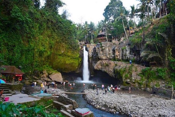 Blue Lagoon Snorkeling and Lunch with Visit Tegenungn Waterfall in Ubud - Who Will Love This Tour?