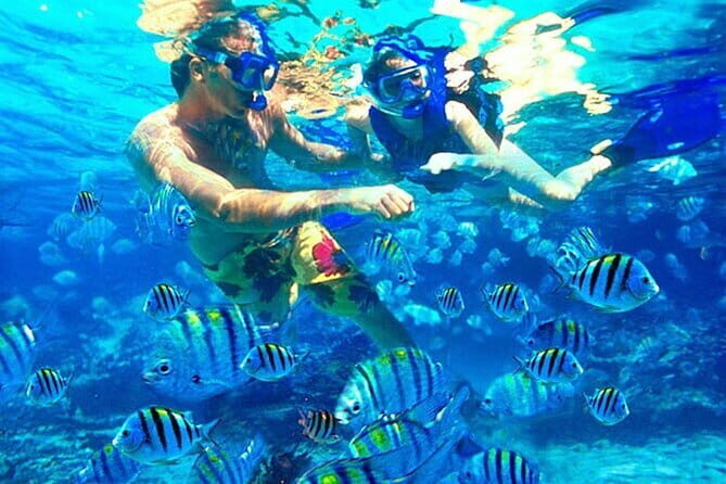 Blue Lagoon Snorkeling and Lunch with Visit Waterfall in Ubud - Possible Drawbacks and Considerations