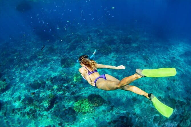 Blue Lagoon Snorkeling and Lunch with Visit Waterfall in Ubud - Final Thoughts: Who Is This Tour Perfect For?