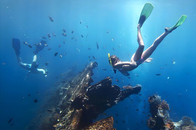 Blue Lagoon Snorkeling - Bali Best Snorkeling Site - Who Is This Tour Best For?