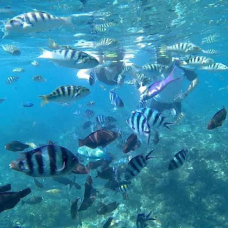 Blue Lagoon Snorkeling & Candidasa Hidden Activities - The Blue Lagoon: A Snorkeler’s Dream