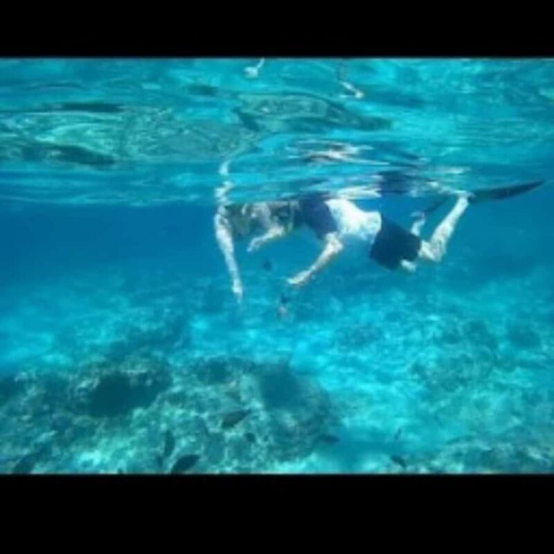 Blue Lagoon Snorkeling & Candidasa Hidden Activities - The Sum Up