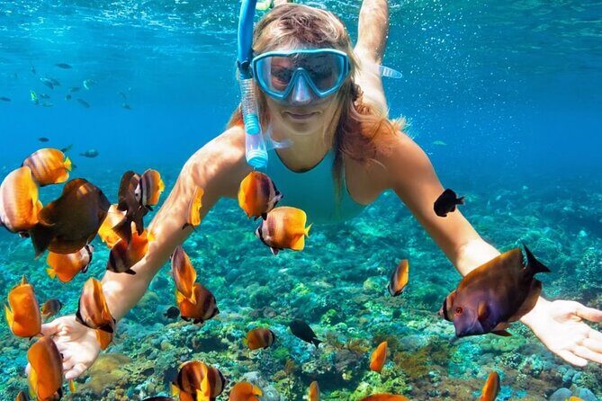 Blue Lagoon Snorkeling Tour Combain Ubud Spa - All inclusive - Key Points