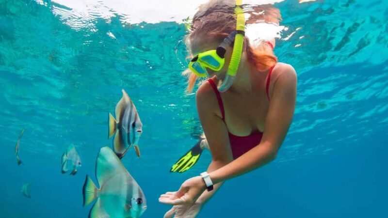 Blue lagoon Snorkeling Tour with Lunch & Private Transfers - Key Points