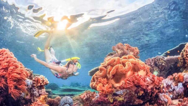 Blue lagoon Snorkeling Tour with Lunch & Private Transfers - An In-Depth Look at the Blue Lagoon Snorkeling Tour