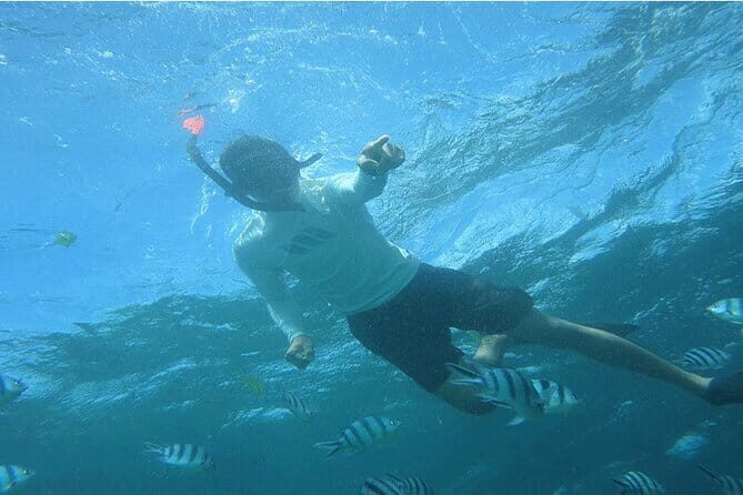 Blue Lagoon Snorkeling with Lunch and Private Transport - Key Points