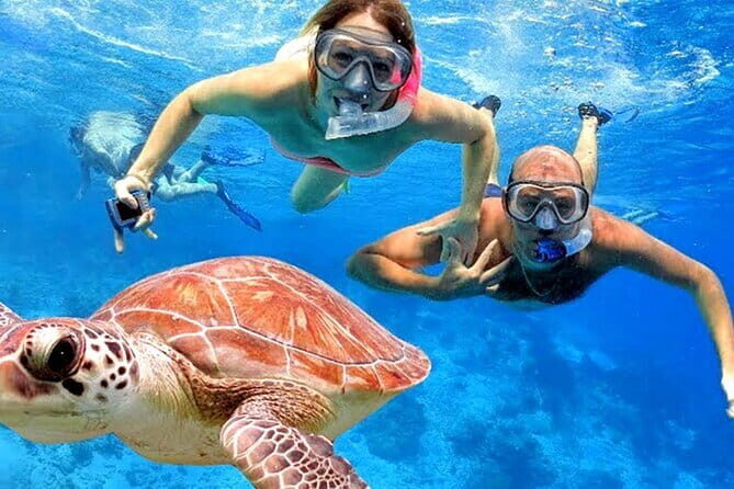 Blue Lagoon Snorkeling with Lunch and Private Transport - The Value of This Experience