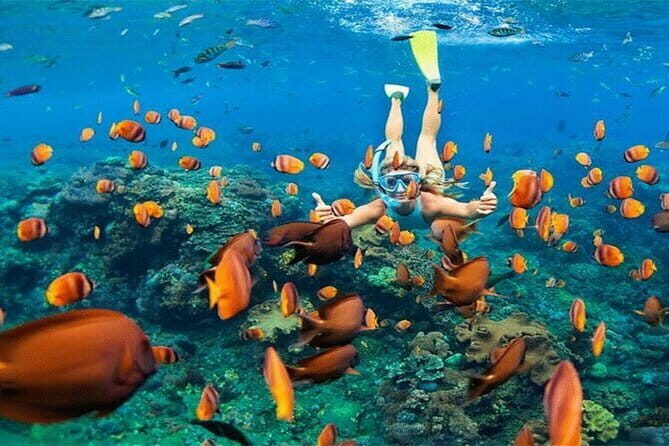 Blue Lagoon Snorkeling with Lunch and Private Transport - The Sum Up