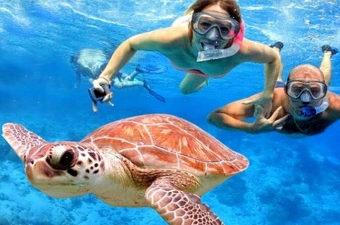 Blue Lagoon Snorkling activities - Final Thoughts