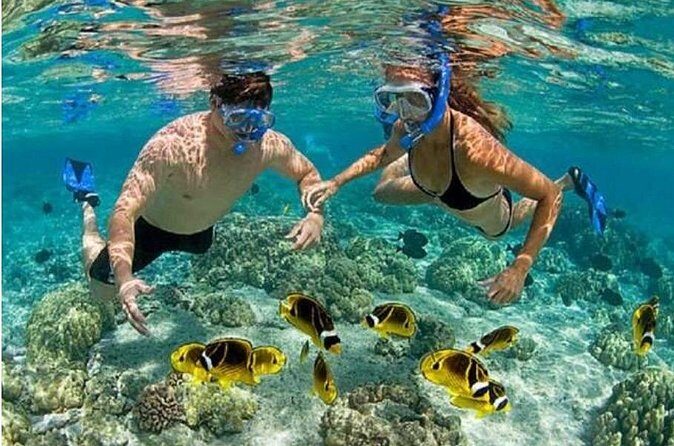 Blue Lagoon Snorkling activities - FAQ