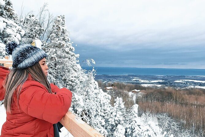 Blue Mountain and Scenic caves of Collingwood - Value and Cost Analysis