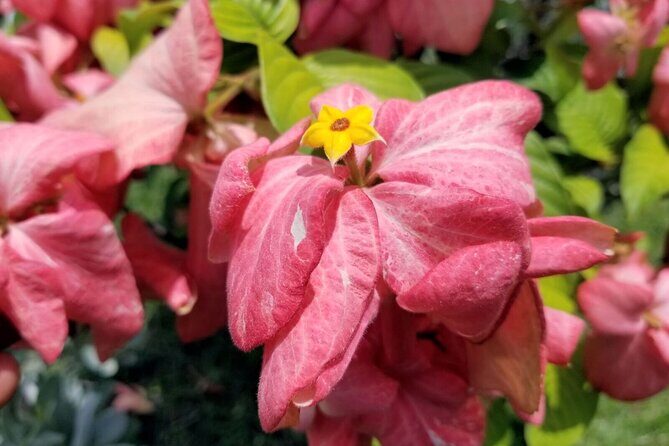 Blue Mountain Bicycle Tour Experience - FAQ