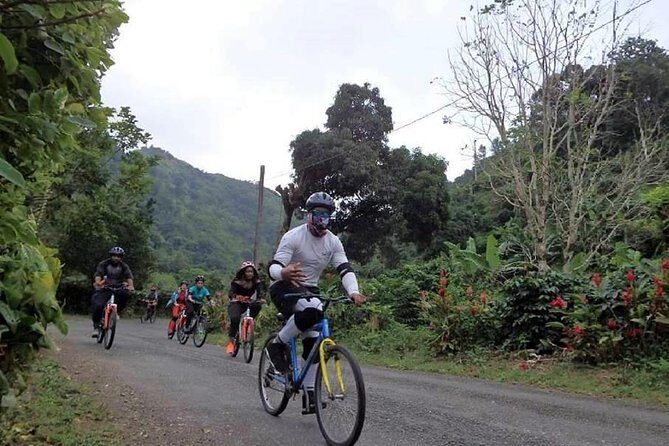 Blue Mountain Bicycle Tour from Ocho Rios - An In-Depth Look at the Blue Mountain Bicycle Tour