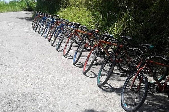 Blue Mountain Bicycle Tour from Port Antonio - FAQ