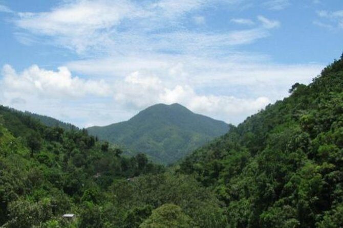 Blue Mountain Bicycle Tour from Runaway Bay - Key Points