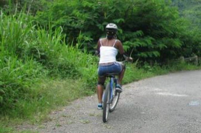Blue Mountain Bicycle Tour from Runaway Bay - Why This Tour Offers Real Value