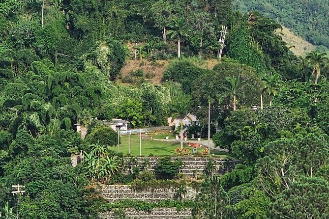 Blue Mountain Coffee Hike and Tour - Why This Tour Offers Great Value