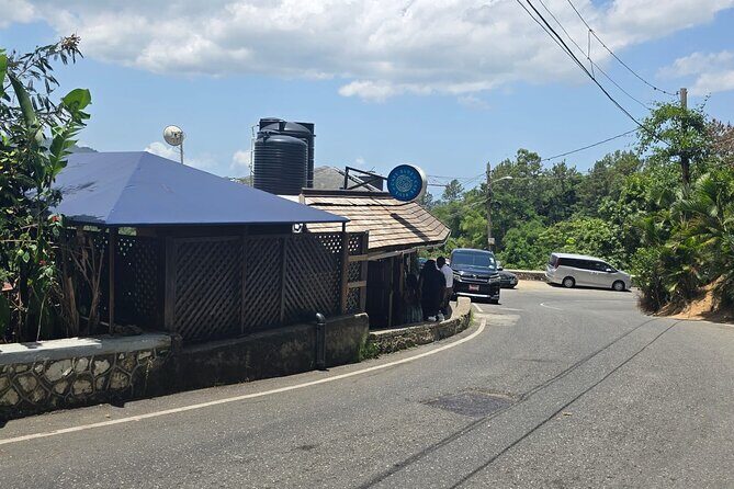 Blue Mountain Coffee Hike and Tour - Final Thoughts