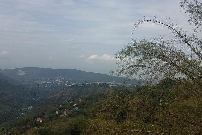 Blue Mountain Coffee Tour from Ocho Rios - Authentic Experiences and Traveler Insights
