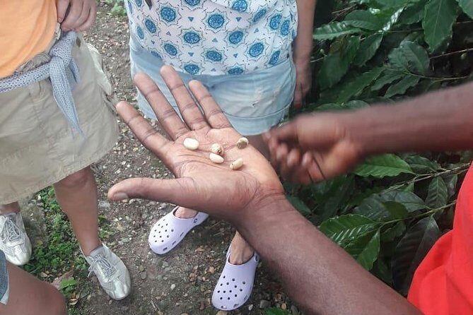 Blue Mountain Path Finder - Overview of the Blue Mountain Path Finder Tour